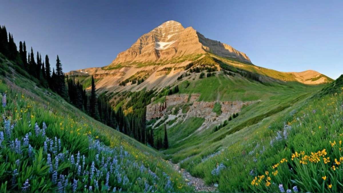 Best Hikes in Utah: Top 10 Trails You Must Explore in 2025